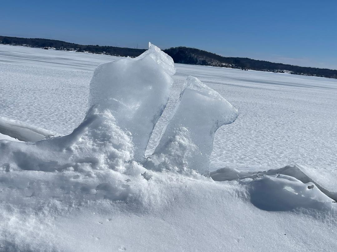 8 February snow – Site Title